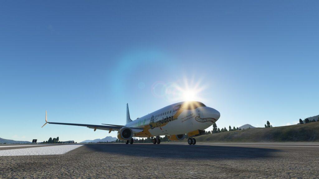 Mouseviator repaint for PMDG 737-800 NGX for Microsoft Flight Simulator ...